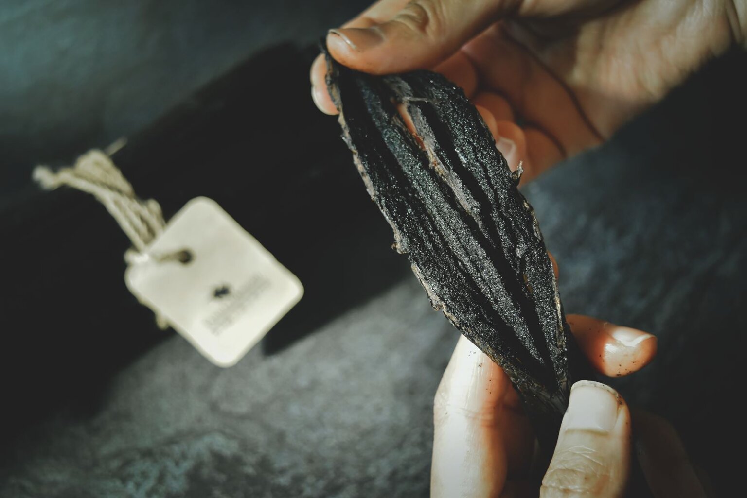 【What is Vanilla?】A Complete Guide to Vanilla – Its Origins and Uses