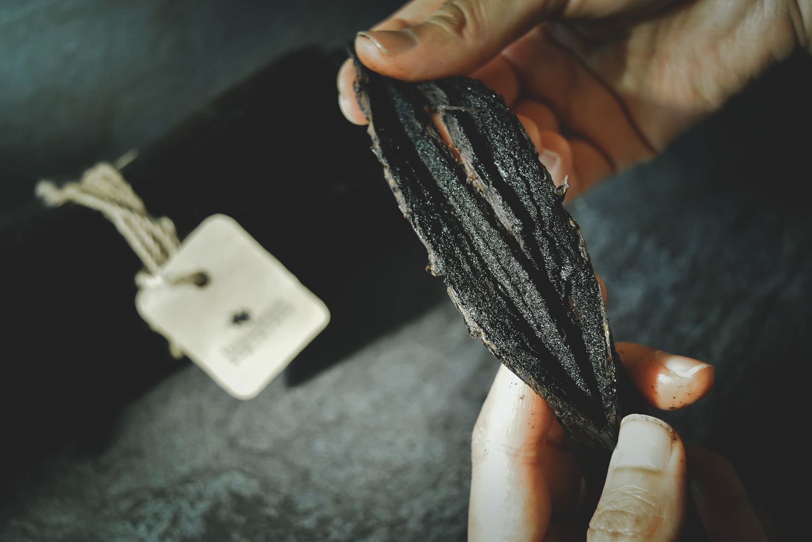 【What is Vanilla?】A Complete Guide to Vanilla – Its Origins and Uses